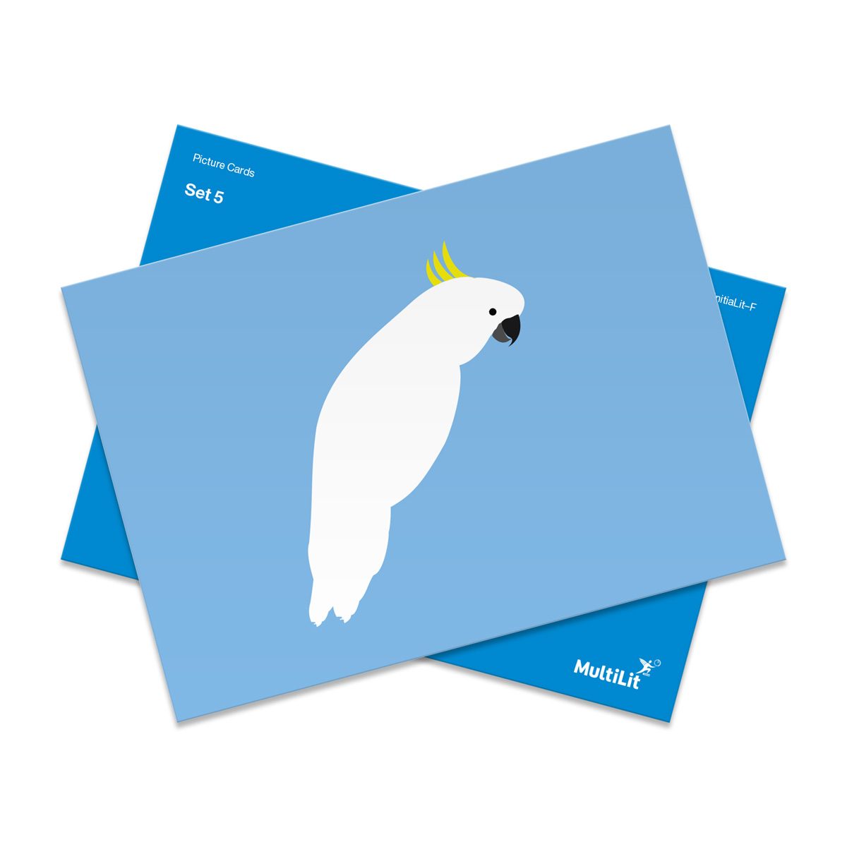 InitiaLit–Foundation Picture Cards - MultiLit