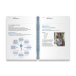 InitiaLit–Foundation Storybook Lessons - MultiLit