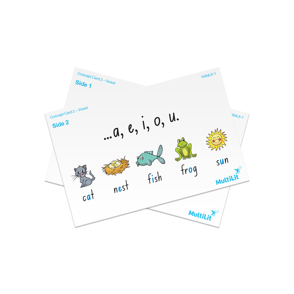InitiaLit–1 Concept Cards - MultiLit