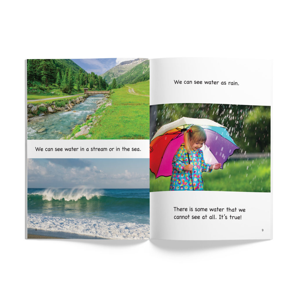 InitiaLit Reader 11.5b Dew - MultiLit