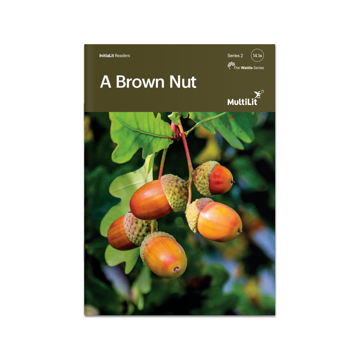 InitiaLit Reader 14.1a A Brown Nut (The Wattle Series) - MultiLit