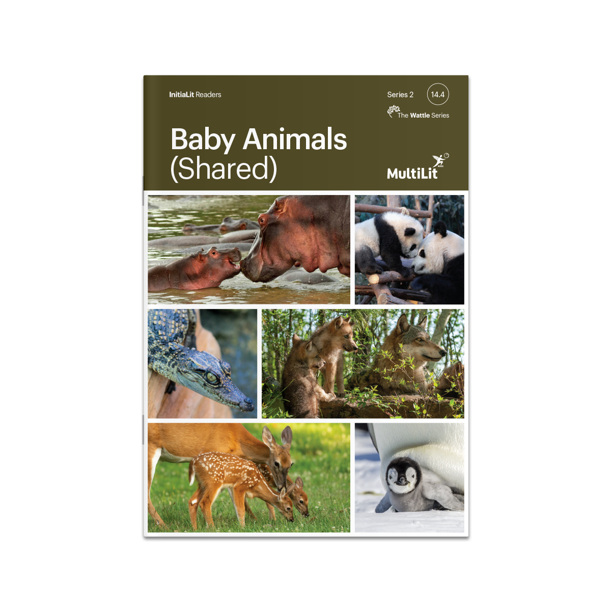 InitiaLit Reader 14.4 Baby Animals (Shared, The Wattle Series) - MultiLit