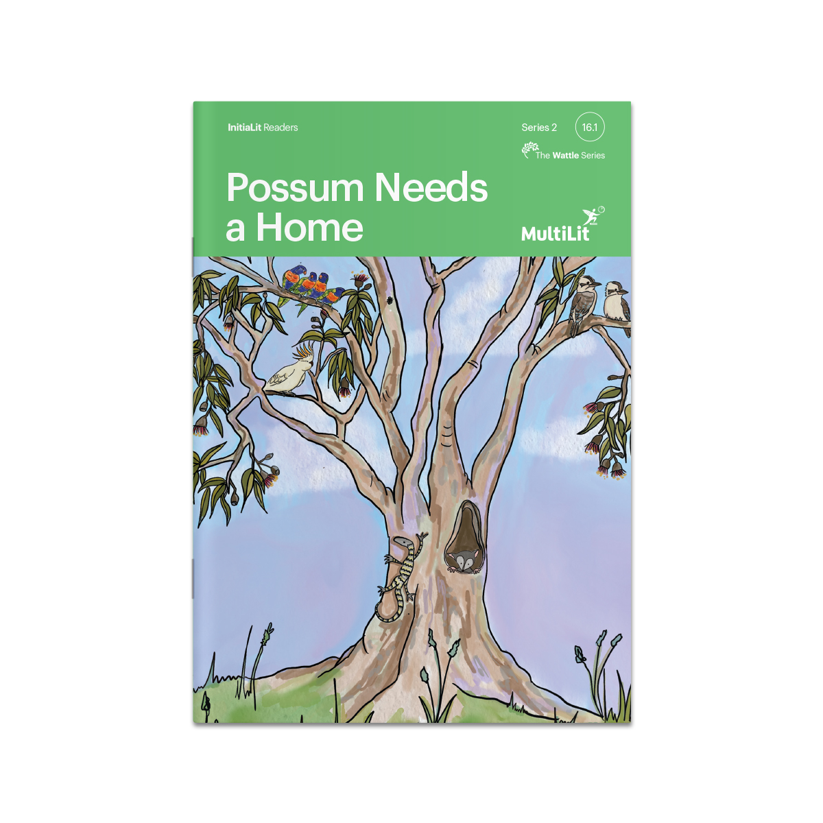 InitiaLit Reader 16.1 Possum Needs a Home (The Wattle Series) - MultiLit